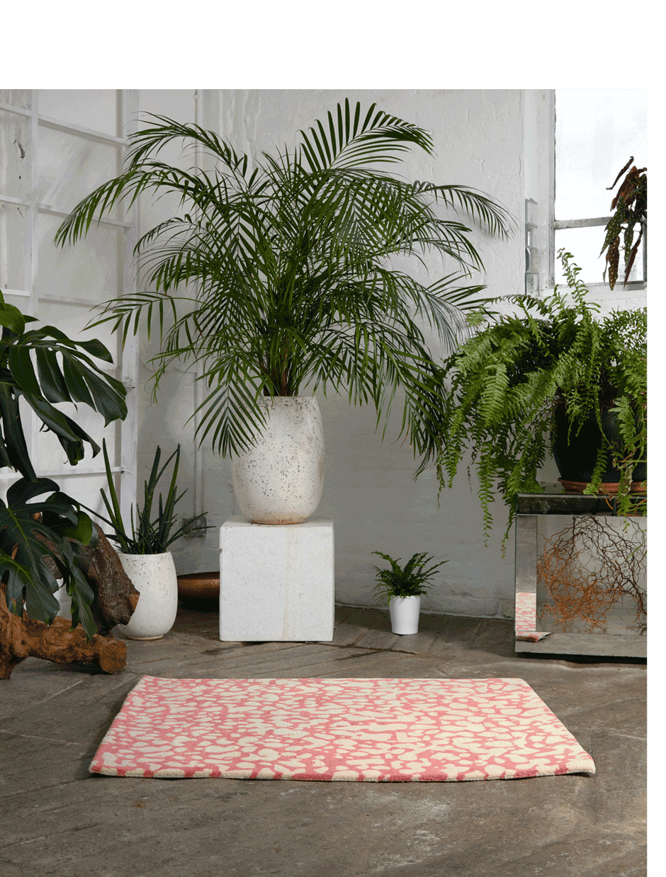Elegant Batik African-Inspired Designer 100% Wool Rug in Copper | Eva ...